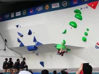 China Adult Professional Competition Volumes Rock Climbing Holds for 1pc Package Quantity for sale