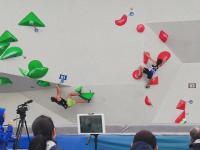 China 1pc Purple Overhang Bouldering Wall Large Artificial Climbing Volumes for sale