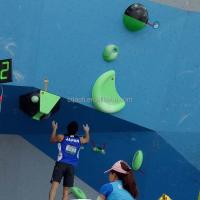 China Indoor Gecko King Large Bouldering Route Setting Volumes Rock Climbing Holds Max Capacity 100-500kg for sale