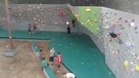 China 650*430*180 mm Glowing Fiberglass Climbing Holds Style XXL Design with Multiple Colors for sale