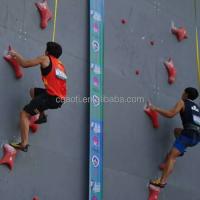 China Experience the Speed of Geckoking IFSC Climbing Speed Holds Standard Qty 20sets*2 Route for sale