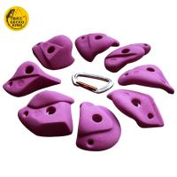 China 8pcs Glass Resinforced Polyester Gecko King Bouldering Climbing Walls for All Climbers for sale