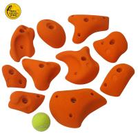 China 10-Piece Gecko King 2018 Rock Climbing Wall Holds in Different Colors for Alternation for sale