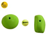 China Adult Eco-friendly S to XXL Outdoor Indoor Rock Climbing Holds for Sustainable Living for sale