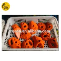 China GeckoKing 11 Pieces Orange L Size Pocket Rock Climbing Holds for Climbing Enthusiasts for sale