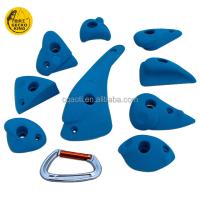 China Create an Exciting Outdoor Experience with Gecko King Adult Rock Climbing Wall Holds for sale