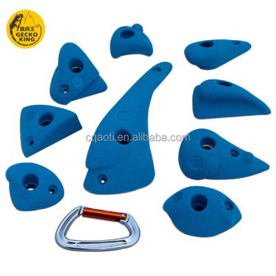 China Create an Exciting Outdoor Experience with Gecko King Adult Rock Climbing Wall Holds for sale