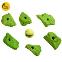 China Indoor Outdoor Rock Climbing Holds for Home Kids Zone Gecko King Merchandise in Purple for sale