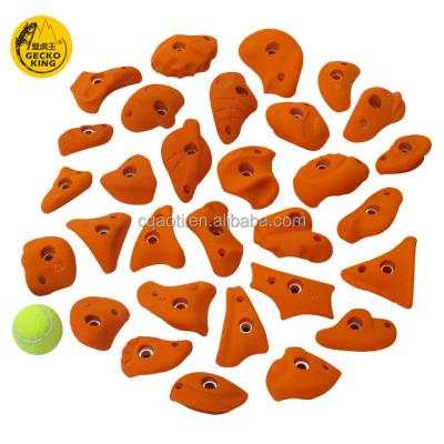 China Gecko King 30pcs Xs Size Indoor Rock Climbing Wall Screwons For Adults for sale