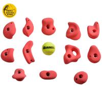 China Take Your Climbing to the Next Level with Gecko King Rock Climbing Holds M Size for sale