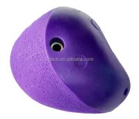 China XL Size Climbing Holds for Indoor and Outdoor Bouldering Training Facilities for sale