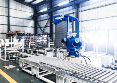 China Industrial Robot Palletizer with 1600 Containers/Hour Capacity and 3 Meter Arm Span for Automated Material Handling for sale