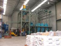 China Automatic Dry Mortar Mix Plant 60000 Ton/Year Capacity with 380V 400W Dual Mixer System for sale