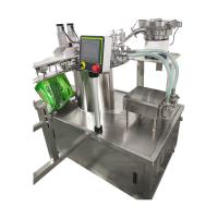 China Double-Head Suction Nozzle Bag Filling Machine for Hand Sanitizer and Body Wash with 12-Month Warranty for sale