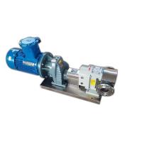 China Sanitary Food Grade 304 Stainless Steel CAM Rotor Pump for High Viscosity Fluids - Honey, Syrup, Glue Transfer 50-500L/min Capacity for sale