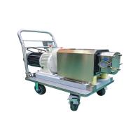 China Rotor Transfer Pump with Trolley & Manual Speed Regulation for Tomato Sauce & Vegetable Oil - 12 Month Warranty for sale