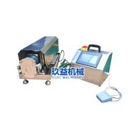China Industrial Rotor Pump System with Customized Servo Motor & PLC Controller for Shampoo and Tomato Sauce Conveying for sale