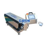 China Industrial Rotor Pump System with Customized Servo Motor & PLC Controller for Shampoo and Tomato Sauce Conveying for sale