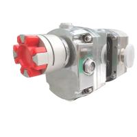 China Stainless Steel CAM Rotor Pump Head for Food Cleanser and Asphalt Applications - High Precision Stainless Steel Construction for sale