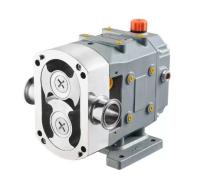 China Stainless Steel CAM Rotor Pump Head for Food Cleanser and Asphalt Applications - High Precision Stainless Steel Construction for sale