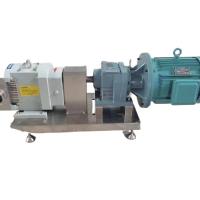 China Sanitary Rotor Rotary Lobe Pump Food Grade for Syrup Honey Chocolate 304 Stainless Steel Transfer for sale