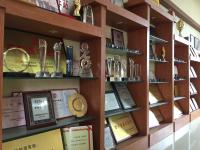 China New Electric Motor Magnet for sale