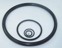China Anti Abrasion Rubber FPM O Ring Set Waterproof Chemical Resistant for sale