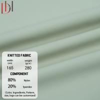 China 80% Nylon 20% Spandex Customizable 280gsm Double-Sided Sports Fabric High Quality Wholesale Eco-Friendly Fabric for sale