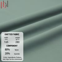 China High Quality 80% Nylon 20% Spandex 280g Double-Sided Eco-Friendly Sports Fabric Customizable for sale
