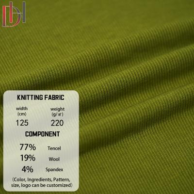 China Tencel Wool 2×2 Rib Knit Fabric, Cozy Temperature Balance Rib for Season-transition Knitwear for sale