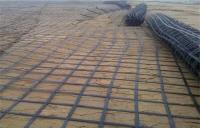 China 12.7*12.7mm Warp Knitted Polyester Geogrid Reinforced Composite Fiberglass Geogrid for sale