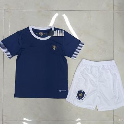 China Polyester Fabric  Kids Soccer Jerseys Royal Blue Football Jersey Commemorative Edition for sale