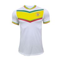 China Breathable Fabric Soccer Team Jersey Support Personalized Customization for sale