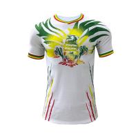 China Custom Designs Soccer Team Jersey Breathable Comfortable 120-160gsm Fabric Weight for sale