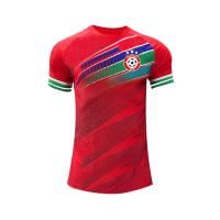 China Africa National Team Gambia Soccer Team Jersey 140gsm / 145gsm 100% Polyester farbic for sale