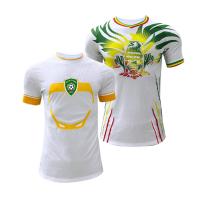 China OEM ODM Africa Cup Jersey Customized size S M L XL 2XL 100% Polyester farbic for sale