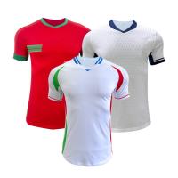 China Special Edition 2024 Euro Jerseys Meticulously Crafted Breathable for sale