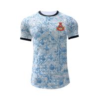 China Portugal Euro Cup Player Edition Jersey 100% Polyester Standard Thickness for sale