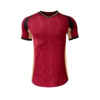 China Performance-Enhancing Plain Soccer Jerseys Breathable Moisture-Wicking Stylish Design for sale