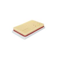 China Hot Selling Medical Silicone Suture Pad For Training Education for sale
