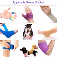 China Colorful Sport Athletic Elastic Bandage Self Adhesive Wrap Tape Ankle Knee Arthrosis Cheap child pet cohesive bandage tape for sale