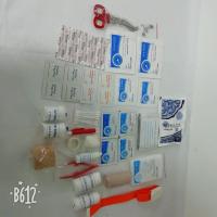 China Family Travel First Aid Kit Essentials For Travelling Animal Road Hiking Dog Emergency 20cm for sale