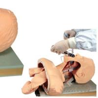 China Stock Comprehensive emergency skills training  neonate trachea tubing training model for sale