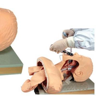 China Stock Comprehensive emergency skills training  neonate trachea tubing training model for sale