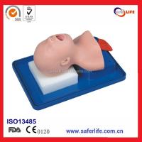 China Stock Comprehensive emergency skills training  neonate trachea tubing training model for sale