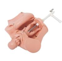 China Stock Comprehensive emergency skills training  neonate trachea tubing training model for sale