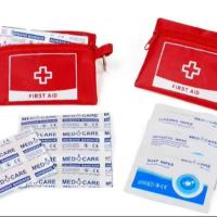 China SL-048  Red  First Aid Kit with Key Chain Design Nylon Mini First Aid Kit for sale
