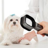 China Saferlife VW1 Veterinary Wood's Lamp Portable UV Detector With 2X Magnifying Glass For Pet Skin Inspection for sale