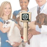 China Saferlife YET-L1 Veterinary Red Blue Light Therapy Device for sale
