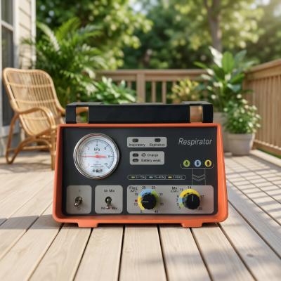 China HX10 Plus Mini Emergency Ventilator Selling Points for sale